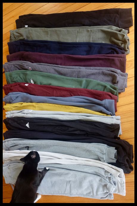 I Found the 14 Best Pairs of Men’s Sweatpants | The Strategist