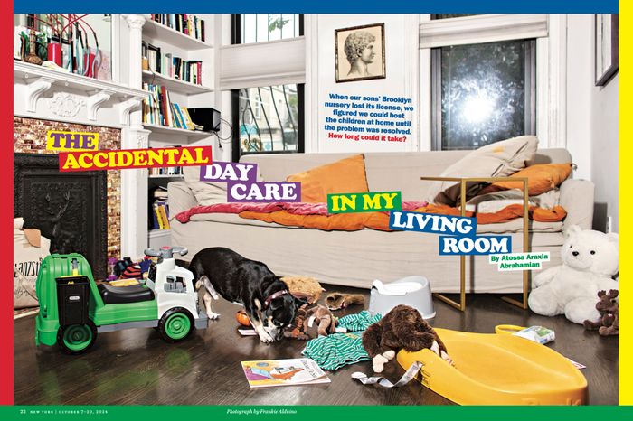 New York Magazine Comments: October 21, 2024