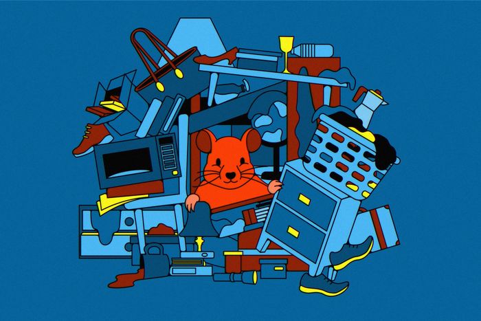 What Do I Do About My Neighbor Who Hoards?
