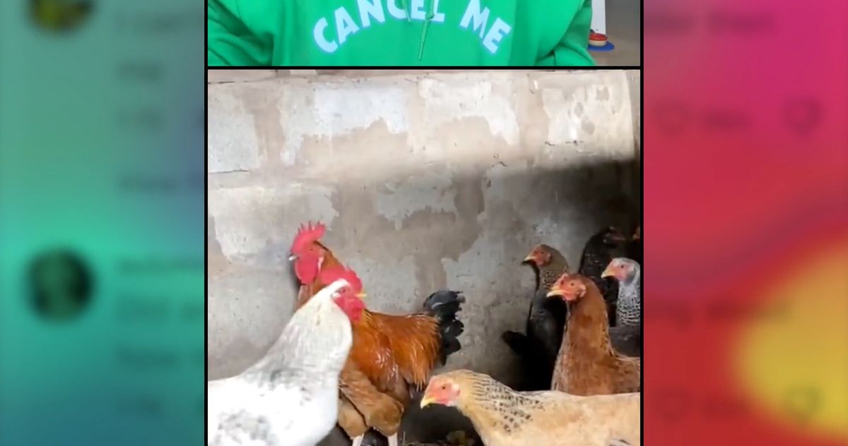 Hawk Tuah Girl, Explained, and More June Memes