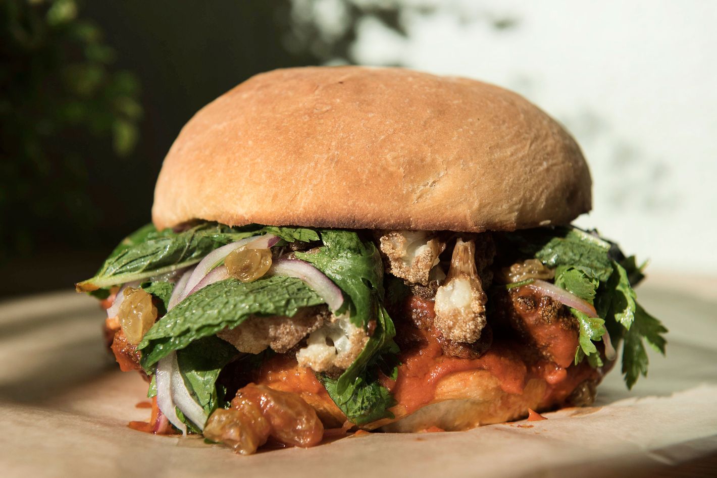 Llamita Opens in NYC