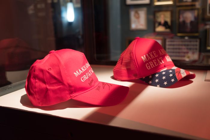 Andres Serrano’s Absurd Museum of Trump