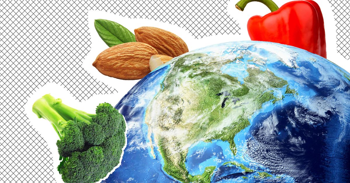 What Is the Planetary Health Diet?