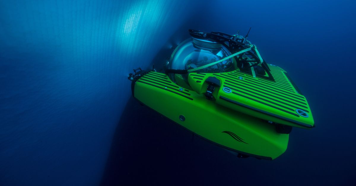 Ray Dalio, James Cameron Invest in Triton Submarines