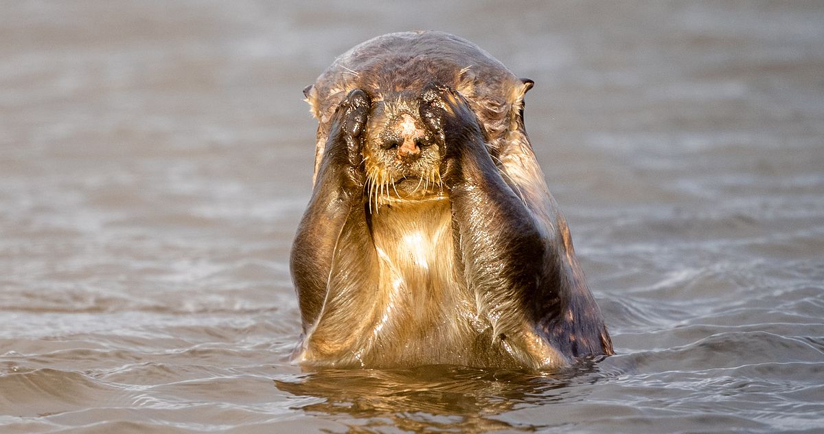 Why Is Eye Contact So Awkward for Some People?