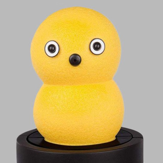 Qatar Is Pairing Autistic Children with Social Robots