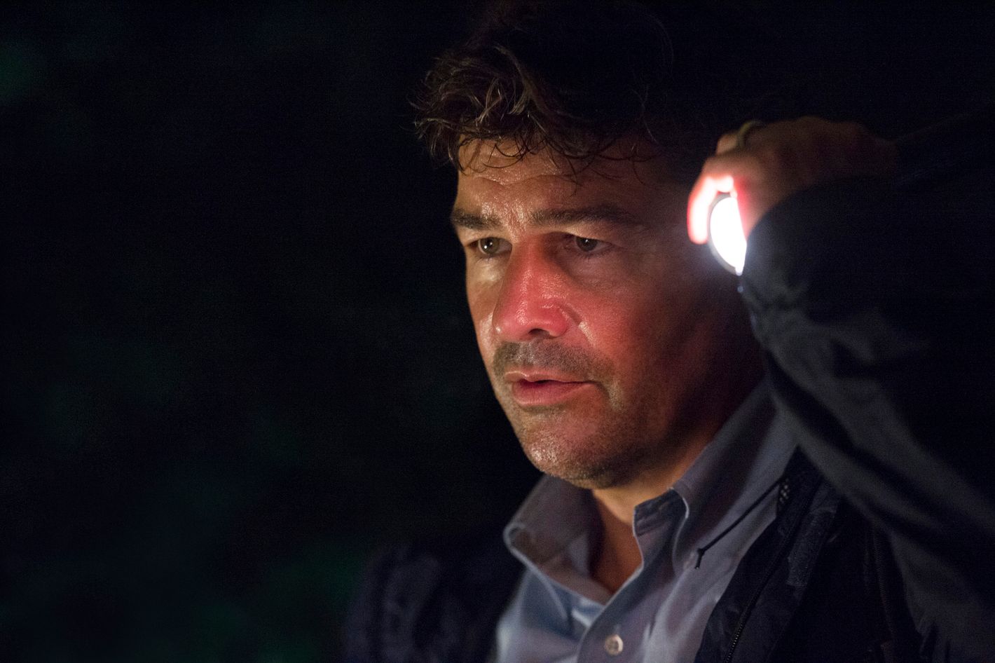 Bloodline Tv Show Review 60 Photos - Moonagedaydream.film