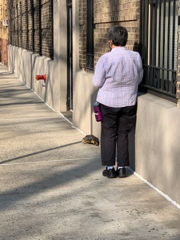 Scenes From Your Pandemic