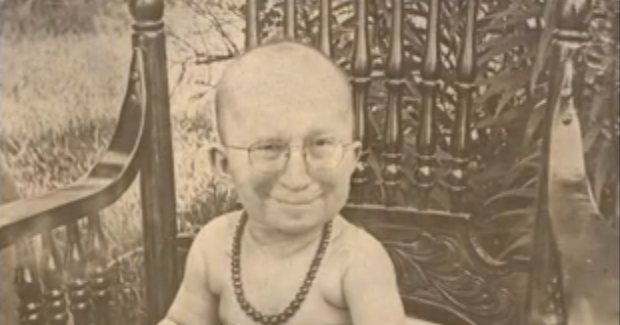 The Dick Cheney Roast Featured a Surreal ‘Behind the Music’ Video