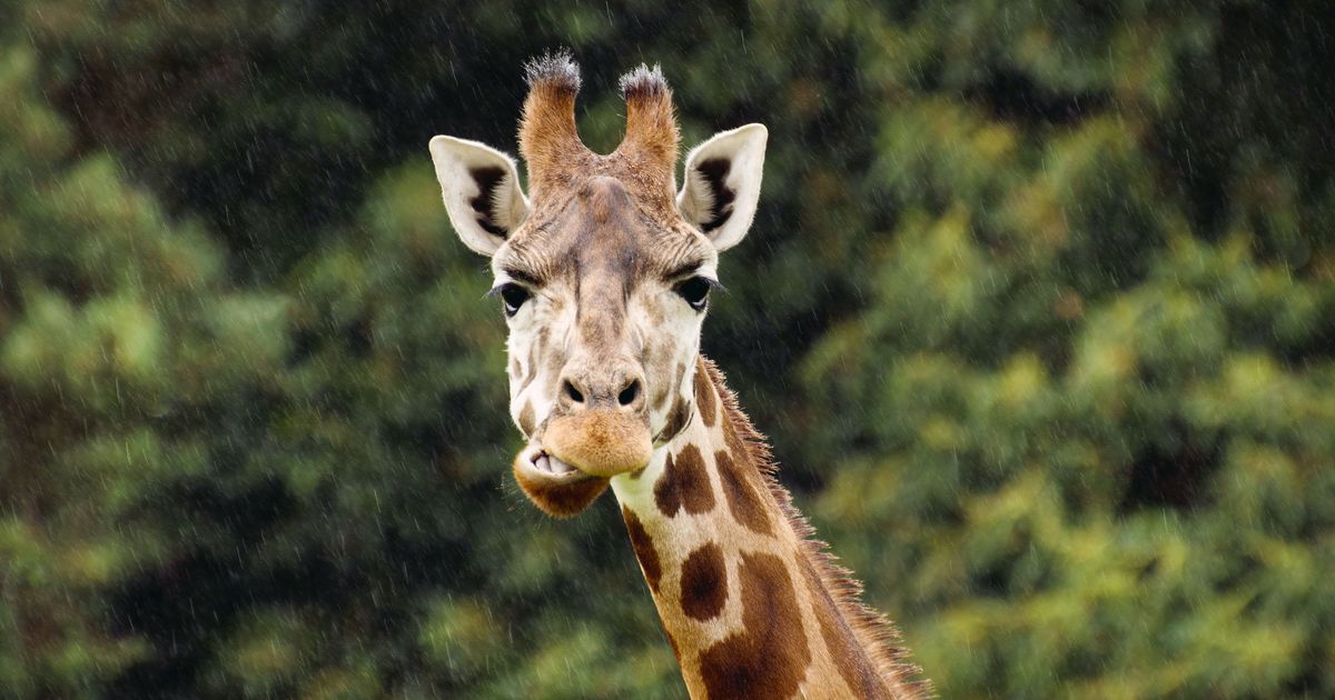 Ask Polly: ‘How Do I Decide What to Do With My Life?’