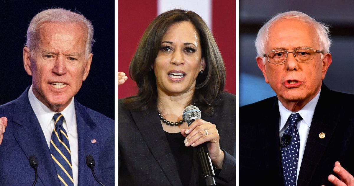 What Different Democrats Mean by ‘Electability’