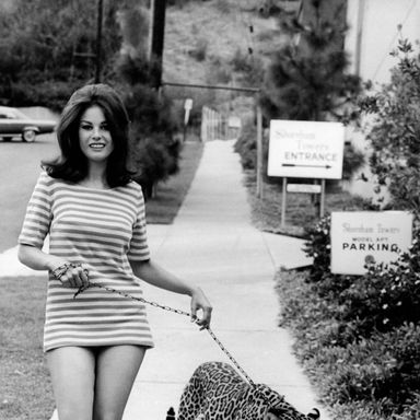 The 50 Most Fabulous (and Famous) Cat Ladies of All Time