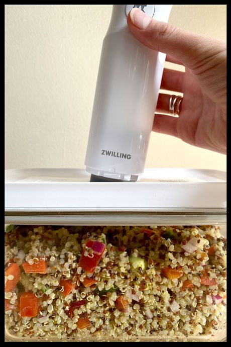 6 Best Food Vacuum Sealers | The Strategist