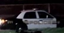 Rogue Cow Breaks Loose From New Jersey Slaughterhouse