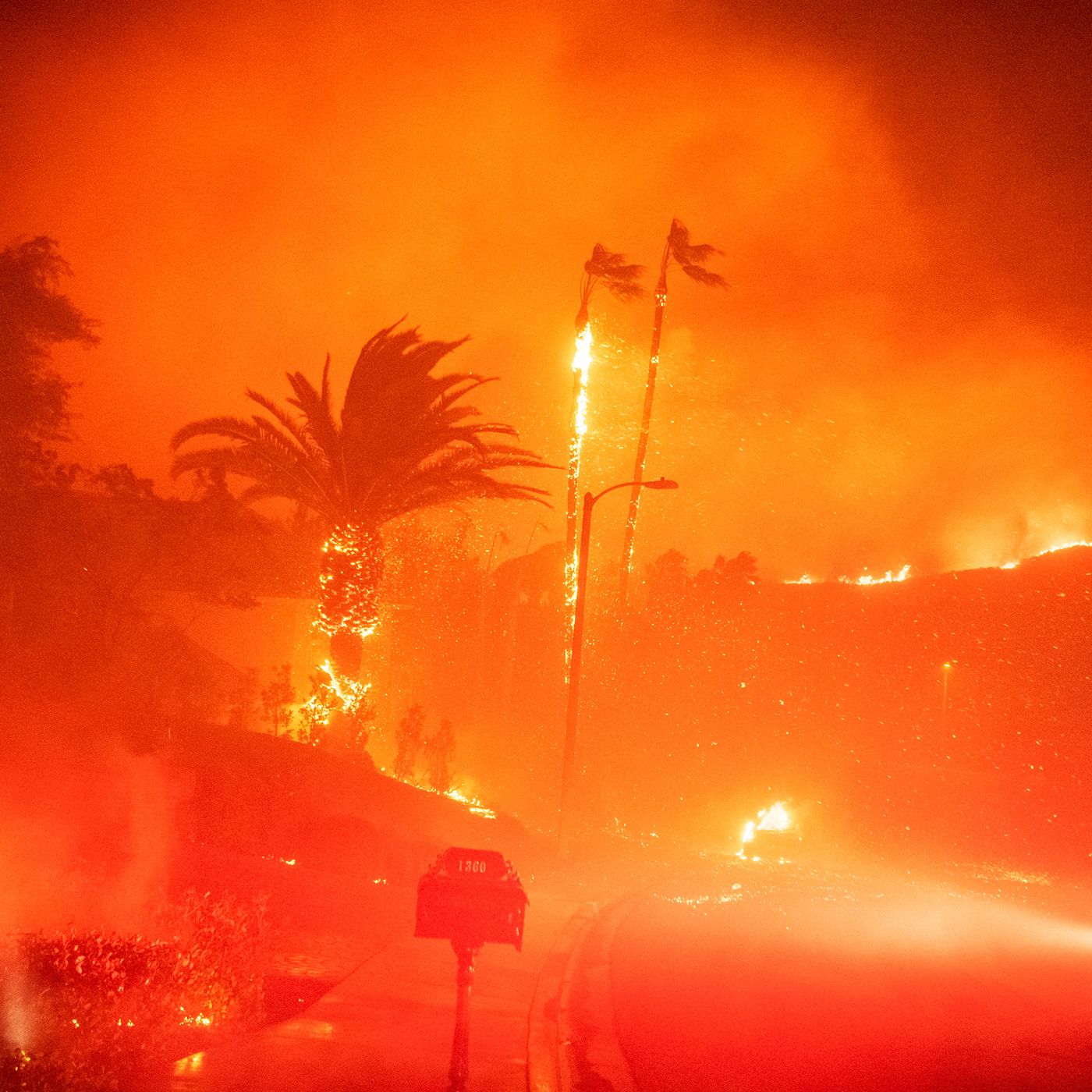 Fire Hurricane Los Angeles