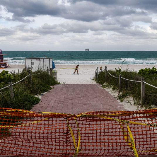 Spirit Cooking Explained: Satanic Ritual or Fun Dinner?