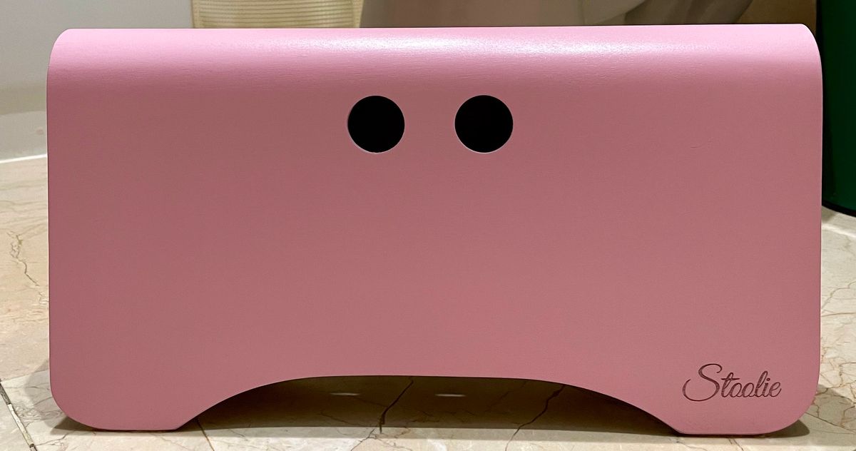 Stoolie Toilet Stool Review 2022 | The Strategist