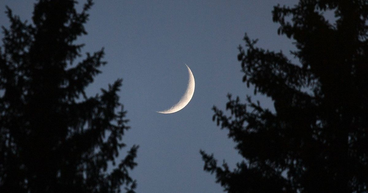 Earth Has a New Mini-Moon, Scientists Say