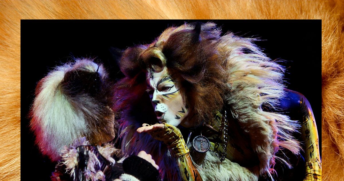 The Secret to Understanding the Plot of Cats