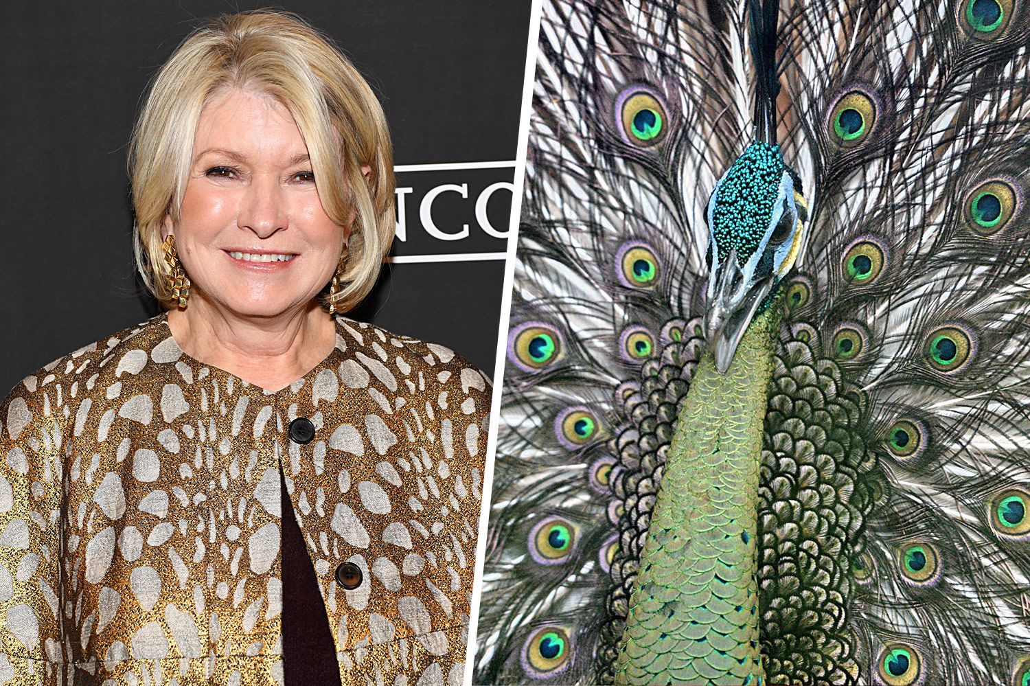 Plantilla De Pájaro Martha Stewart Las Mejores Ofertas En Perforadora