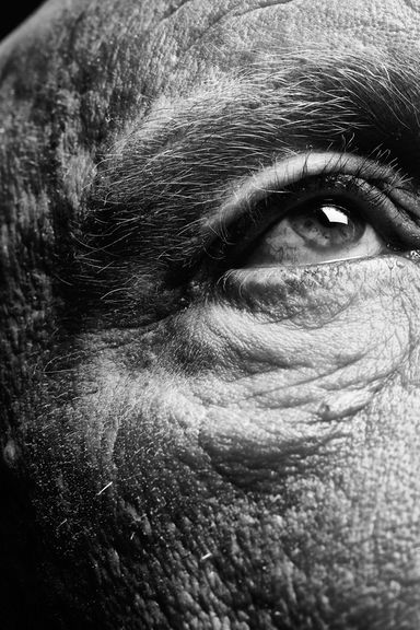 36 Famous Photographs, Perfectly Recreated With John Malkovich