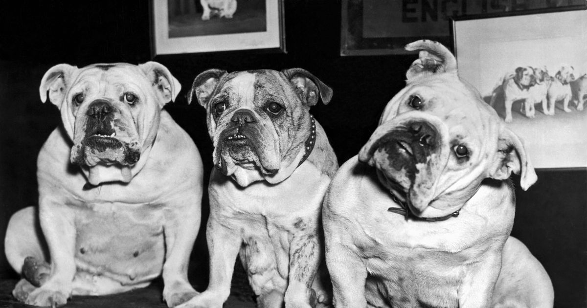 The Best Ugly Things That Are Actually Great and Useful | The Strategist