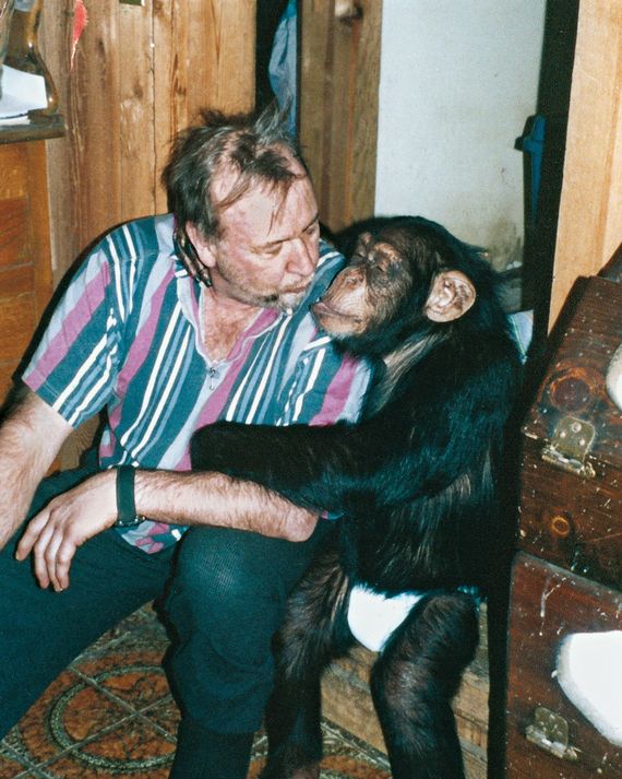 Travis the Menace: The Family Saga of Travis the Chimp