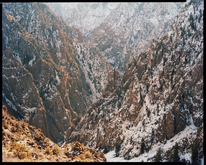 Why Colorado’s Rebecca Vance Took Her Family Off the Grid