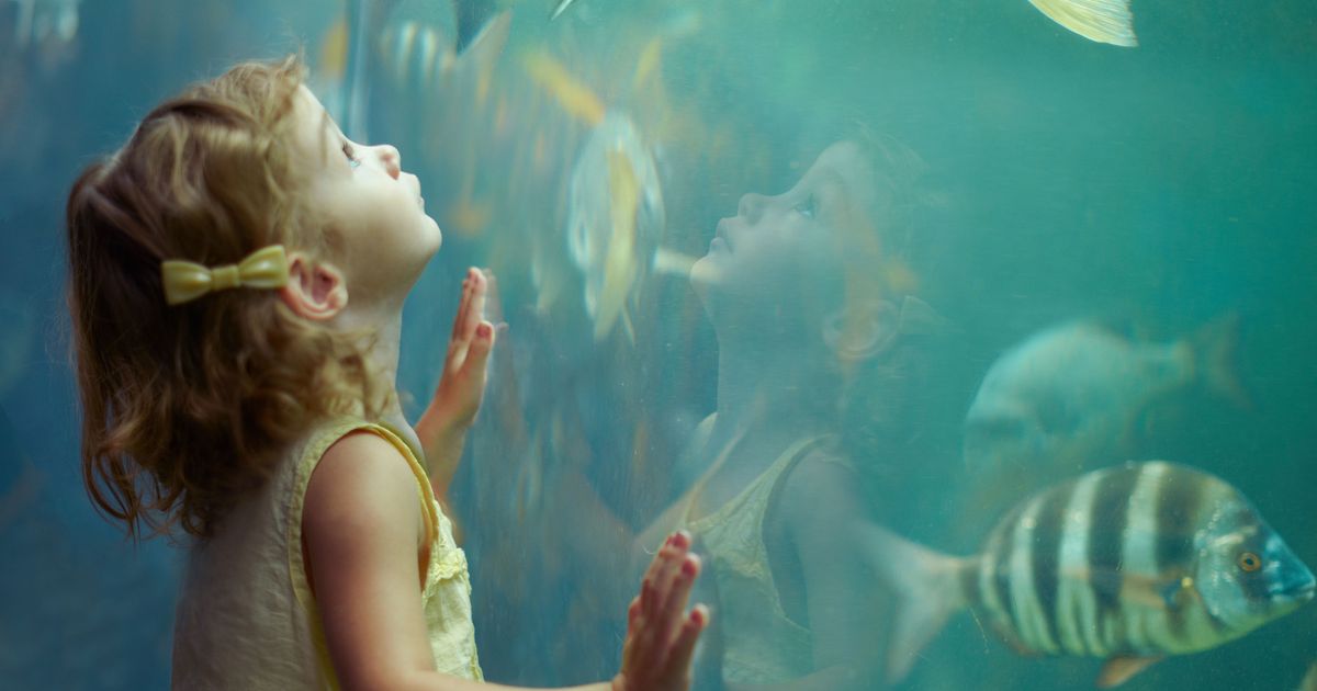 Little Kids Are Way Better at Noticing The World Around Them -- Science ...