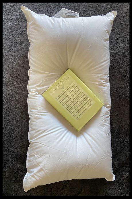 7 Best Down Pillows | The Strategist