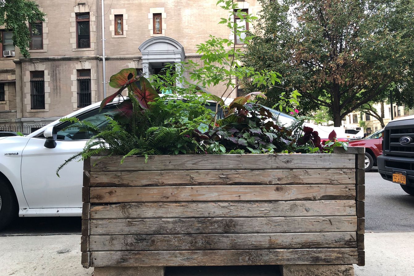 New York City’s Tree Pit Gardens