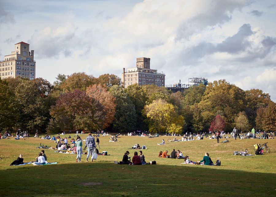 Photographs: Prospect Park Is the (Only) Place to Be