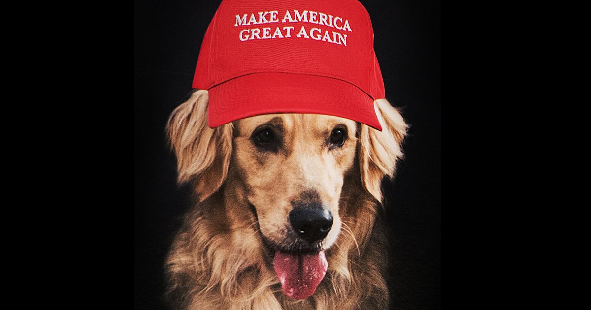 Bad Things That Happen to Dogs, According to Donald Trump