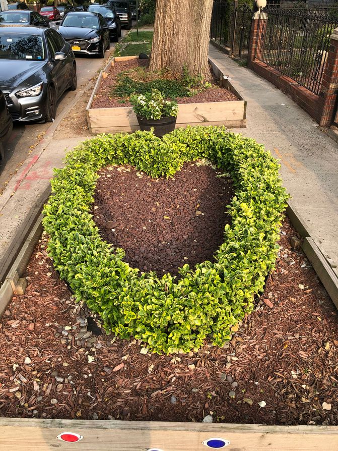 New York City’s Tree Pit Gardens