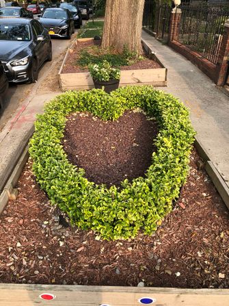 New York City’s Tree Pit Gardens