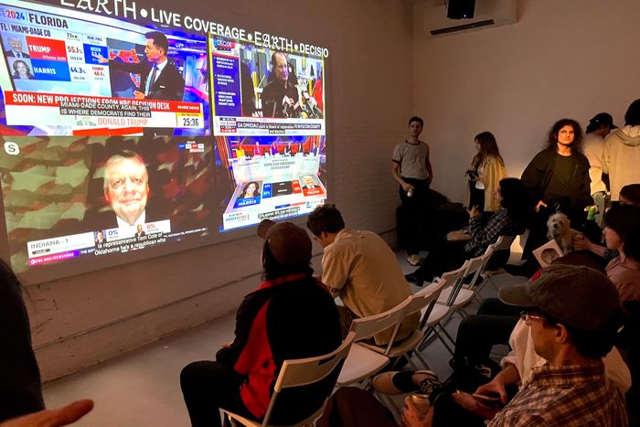 2024 Election Watching Scenes From New York City: Photos