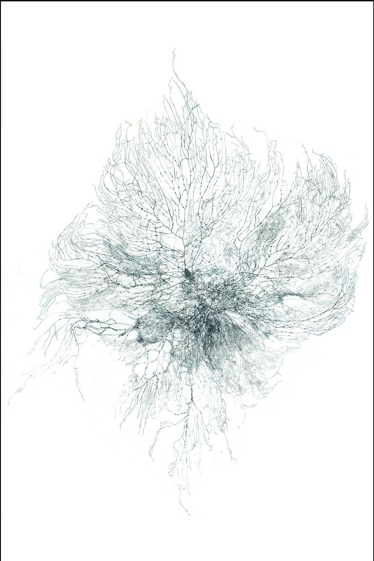 Instagram & Florals: Photos From Nick Knight’s New London Exhibit