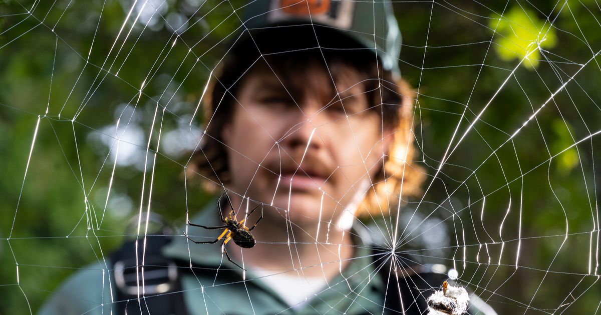 Shudder Knows What You’ll Stream This Summer