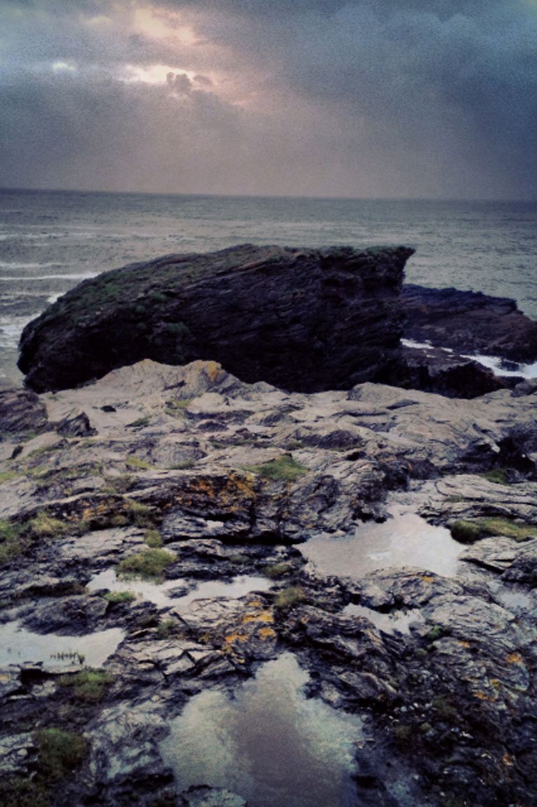 Instagram & Florals: Photos From Nick Knight’s New London Exhibit