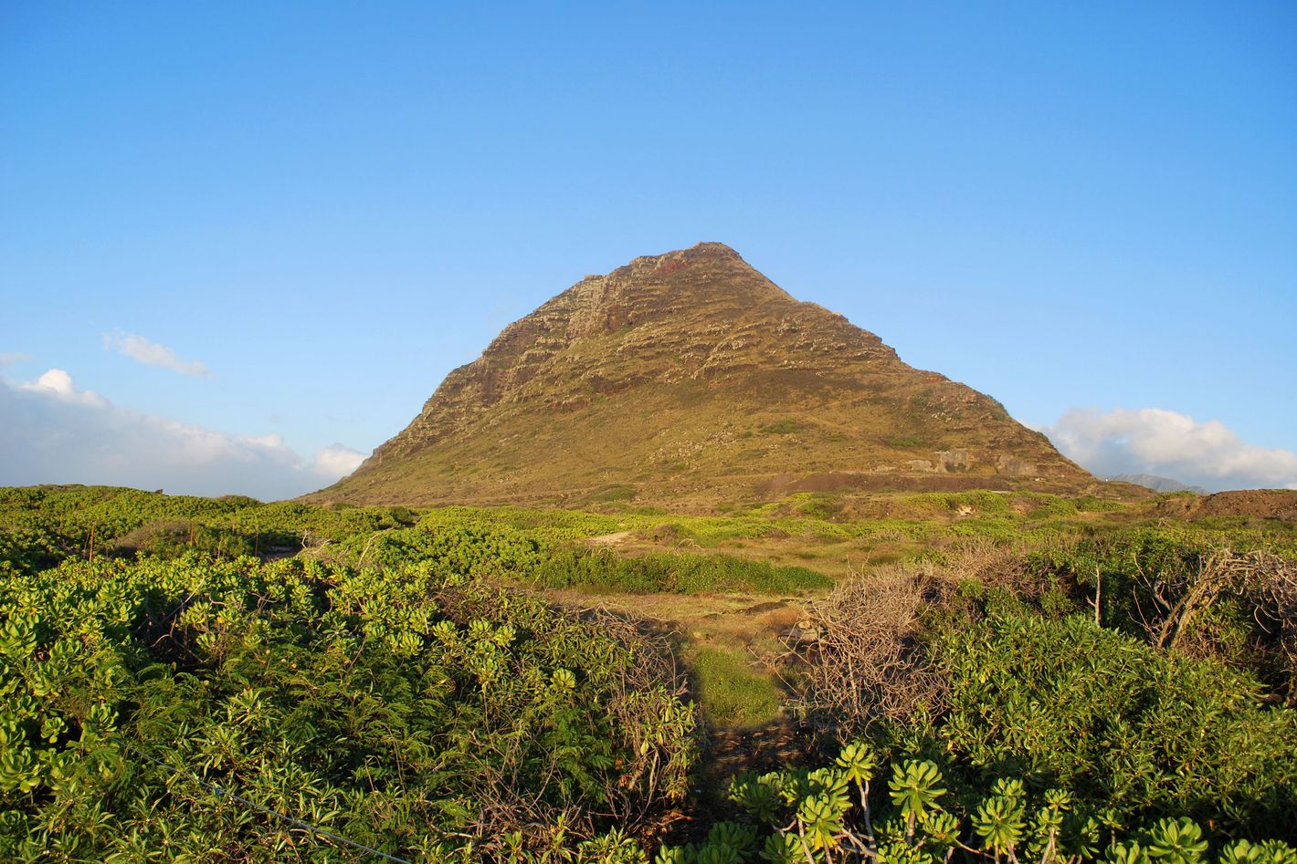 The Best Day Trips From Honolulu