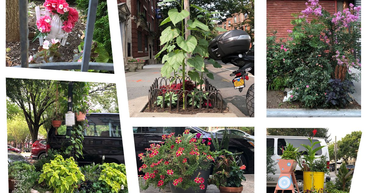 New York City’s Tree Pit Gardens