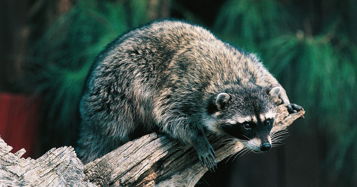 Ask Polly: ‘I Can’t Decide on a Career!’