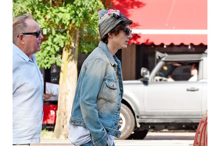 Timothée Chalamet Strolls Through NYC in Floral Bonnet: Pics