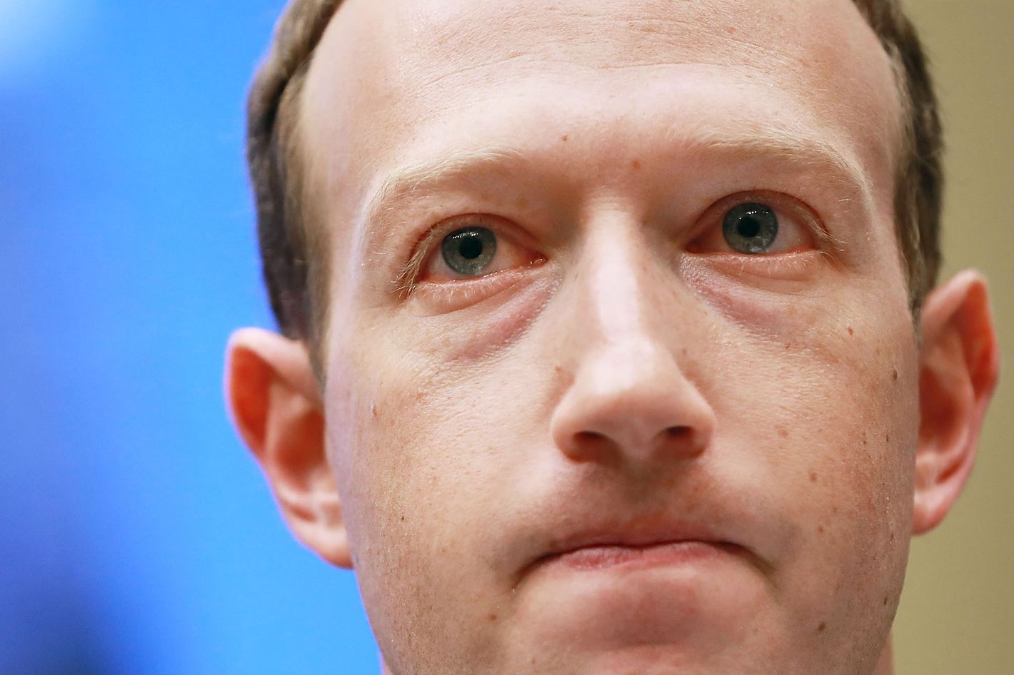 5 Eye Cream Tips for Mark Zuckerberg