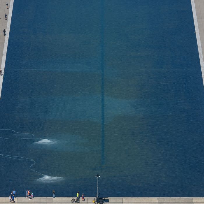 A Guide to Trump’s Reflecting-Pool Enemies, Real or Imagined