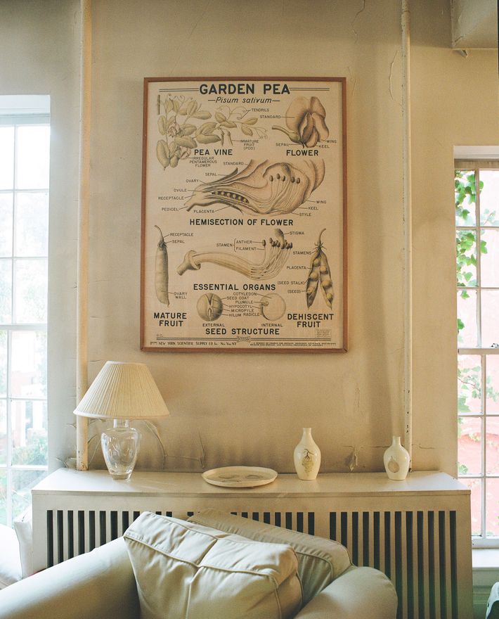 Calvin Trillin On His Marriage and His New Play About Alice