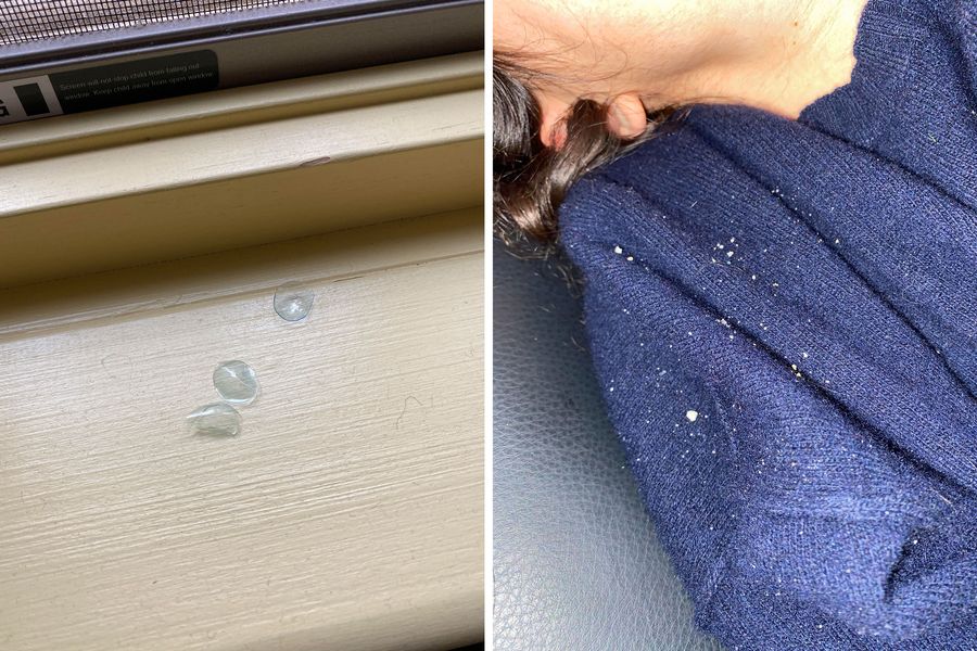 38 Glimpses of Social Distancing Around the World