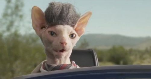 Will ‘Seven Psychocats’ Get You to See Seven Psychopaths?