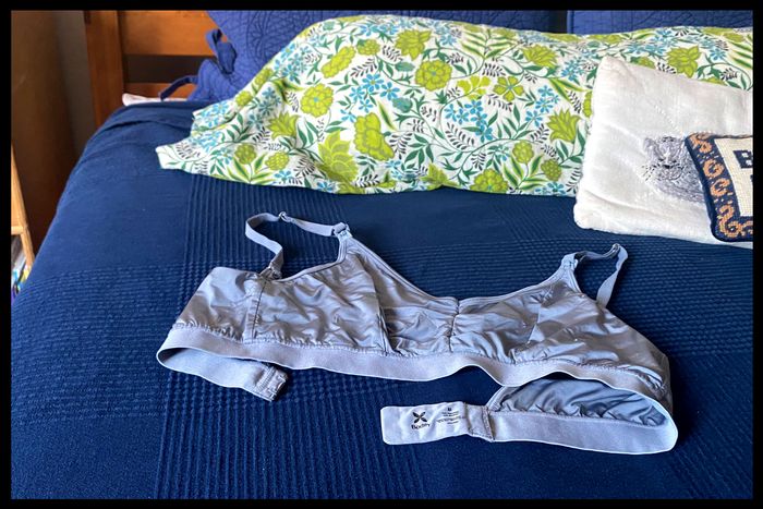 6 Best Pumping Bras 2025 | The Strategist
