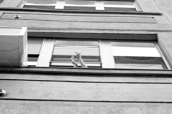 Scenes From Your Pandemic